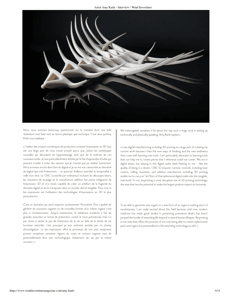 Amy Karle: A Space In-Between Art and Science - Amy Karle