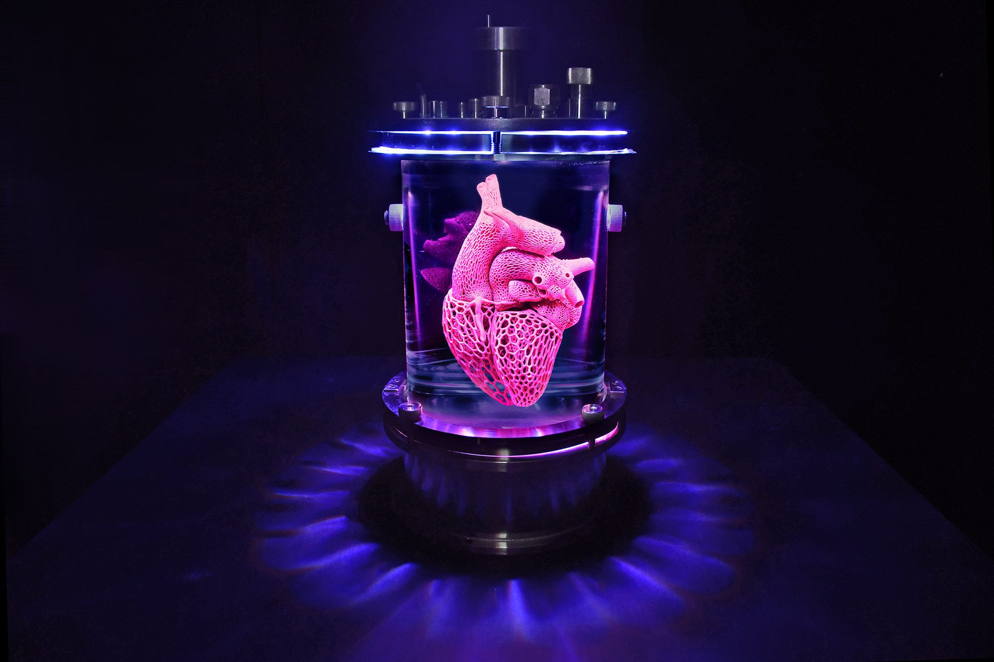 Sculptures - Amy Karle